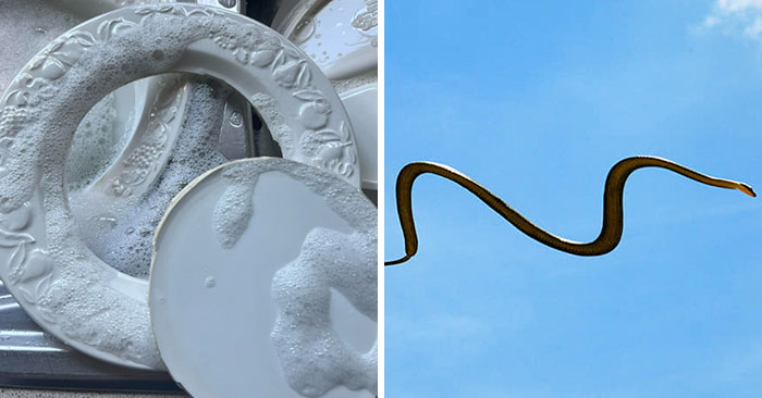 “Pics Or It Never Happened”: 44 Things That Might Be Hard To Believe ...