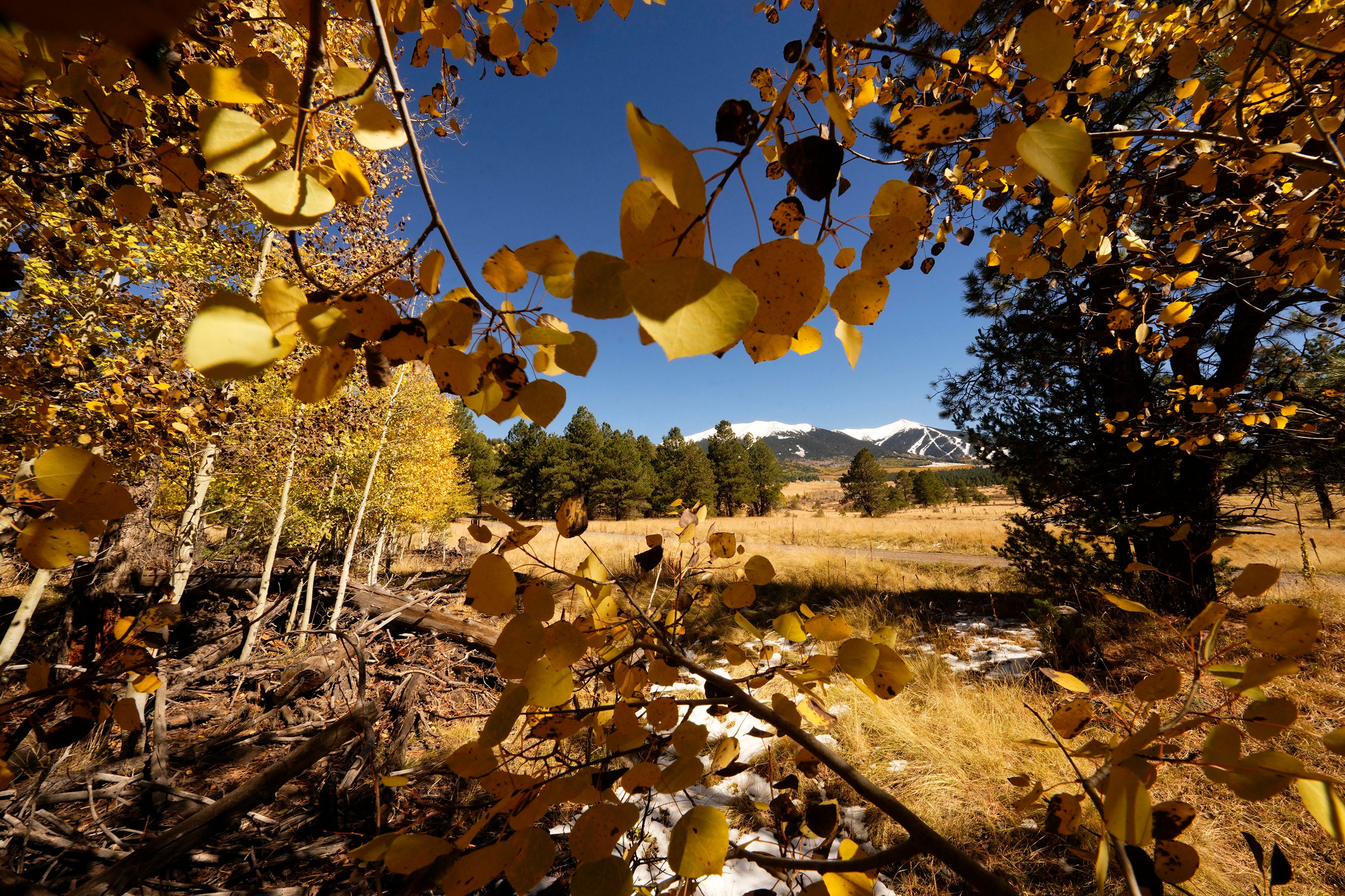 Ready for fall break? 7 stunning Arizona getaways near Phoenix to take