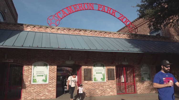 Cameron Park Zoo to begin 'vulture management' efforts