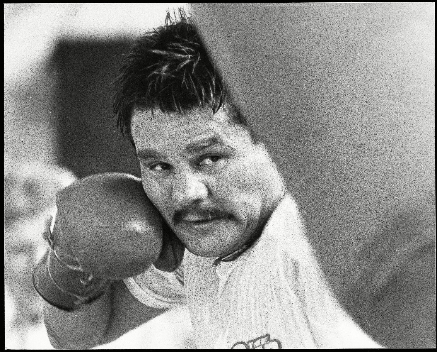 The greatest boxers in history