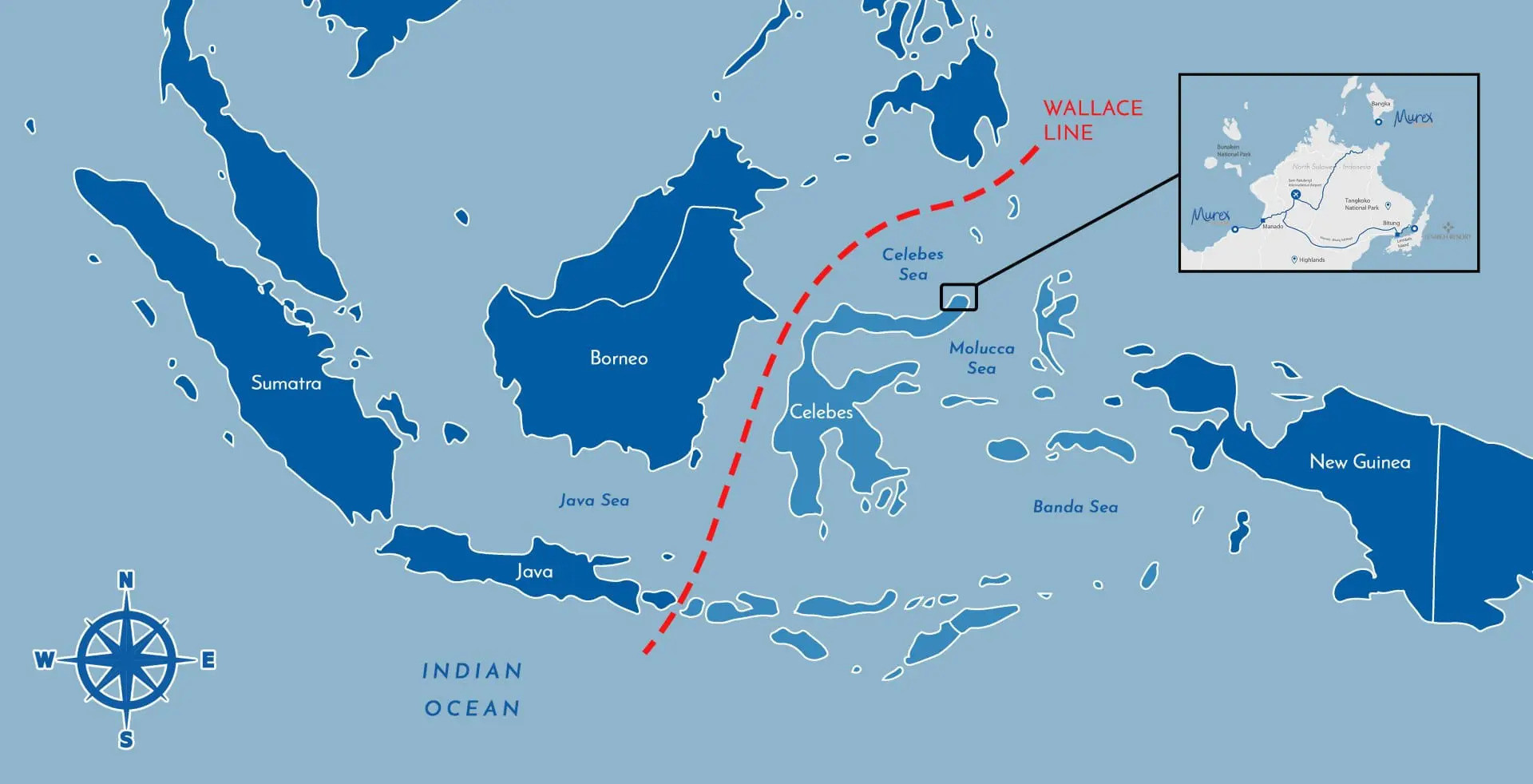 Why don't animals cross the imaginary Wallace Line?