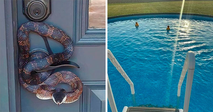 48 Unsettling Images To Leave You With That Eerie Feeling