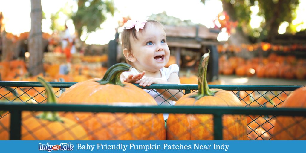 7 Best Indianapolis Pumpkin Patches for Babies | Pumpkin Patch Infant ...