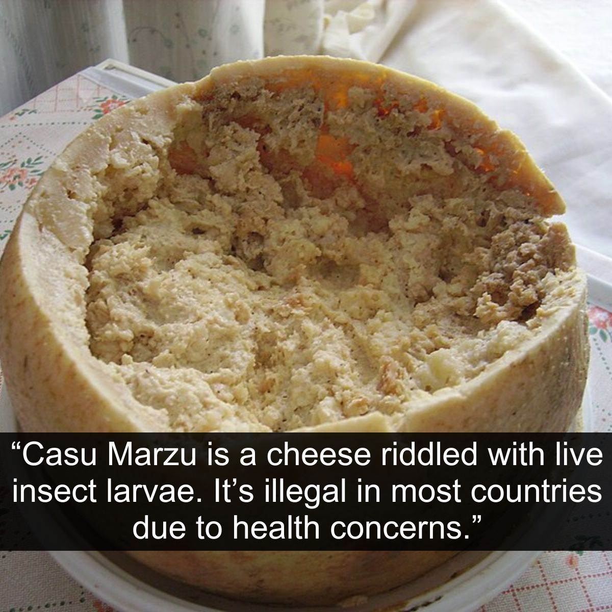24 Facts About Cheese That Will Make You Look at It Differently