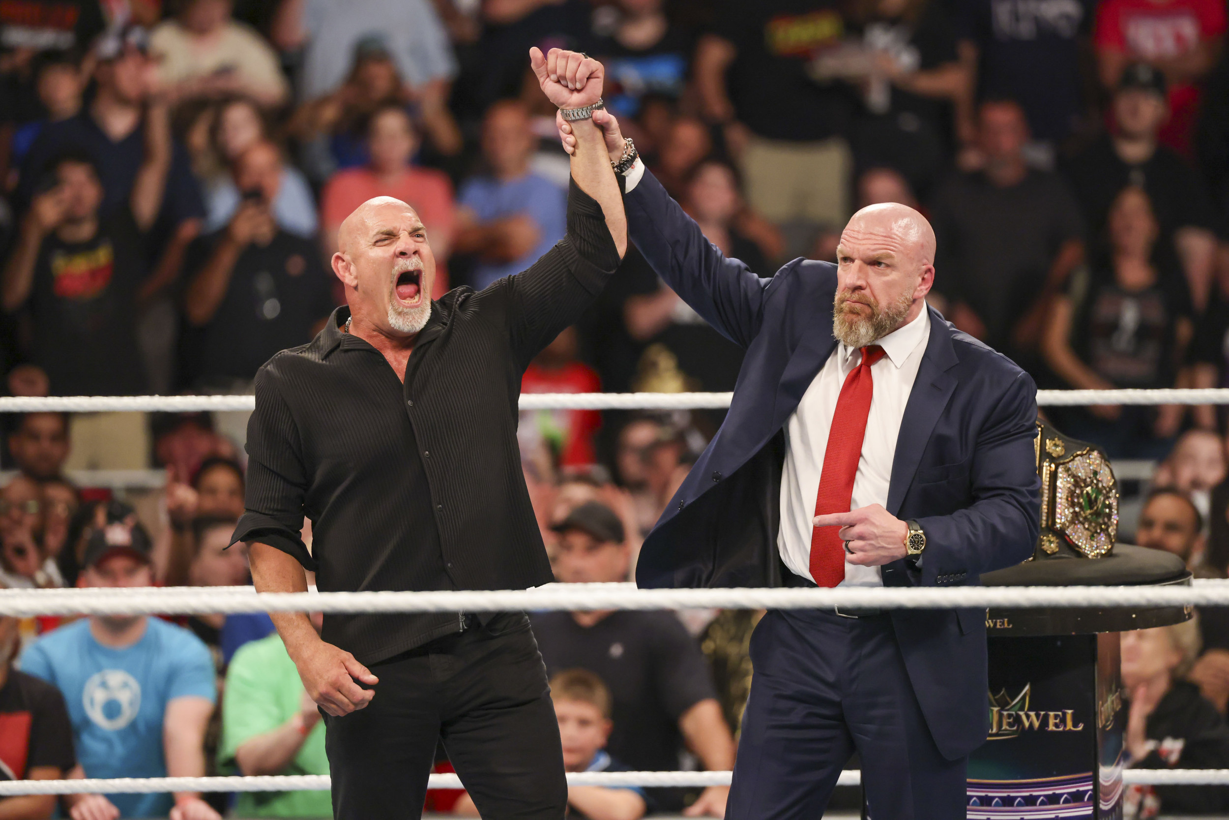 Goldberg Nearly Joined Brock Lesnar In MMA Career