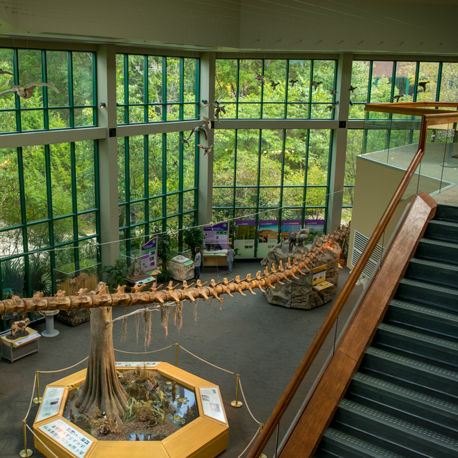 A Getaway Guide to Jackson Mississippi