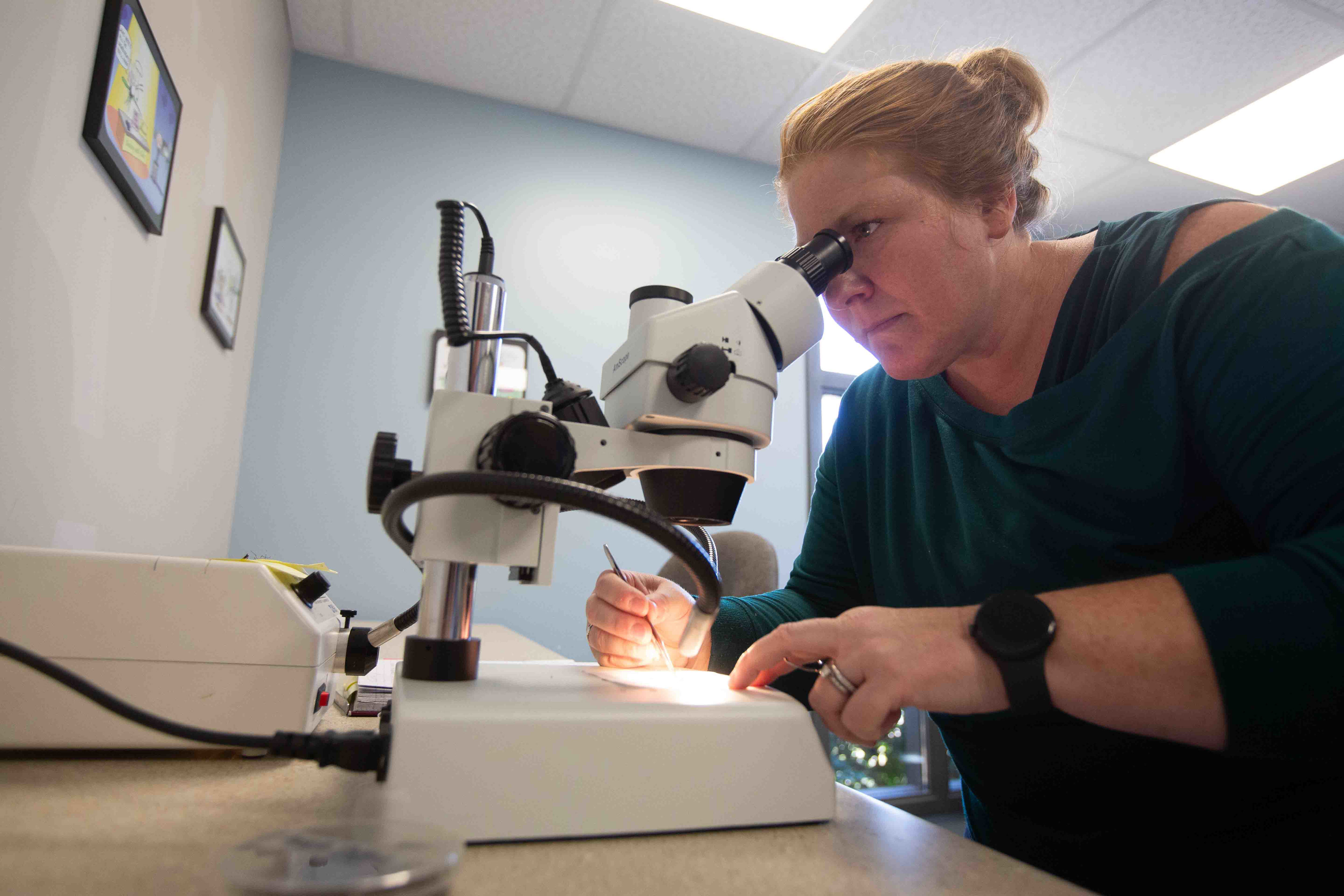 Symptoms of climate change such as extreme heat can impact insect activity