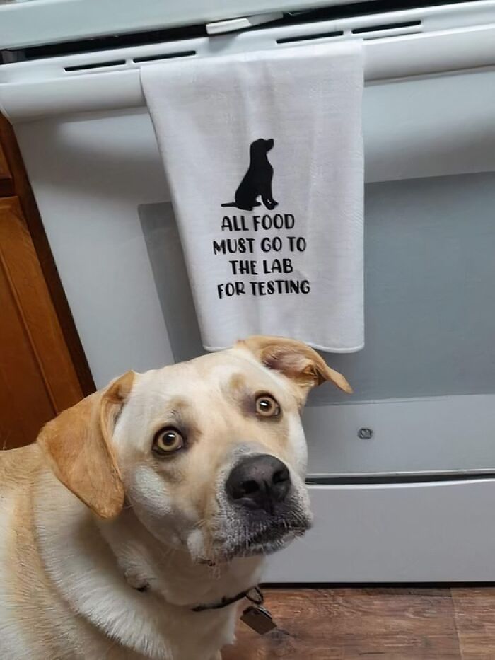 49 Memes And Jokes That Combine Science And Humor Perfectly