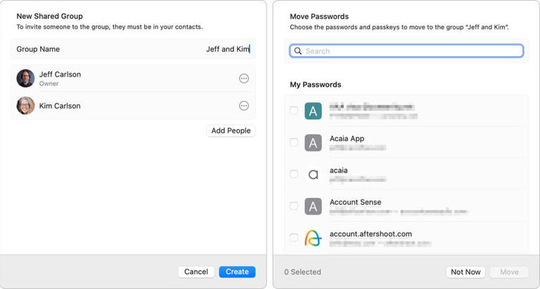 How to Safeguard Your Most Important Logins with Apple's Passwords App