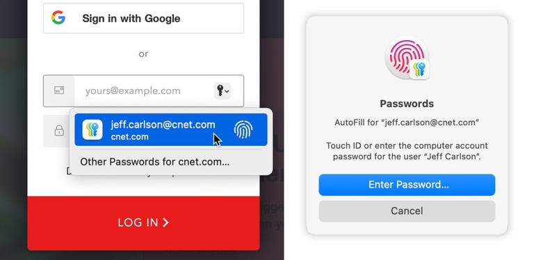 How to Safeguard Your Most Important Logins with Apple's Passwords App