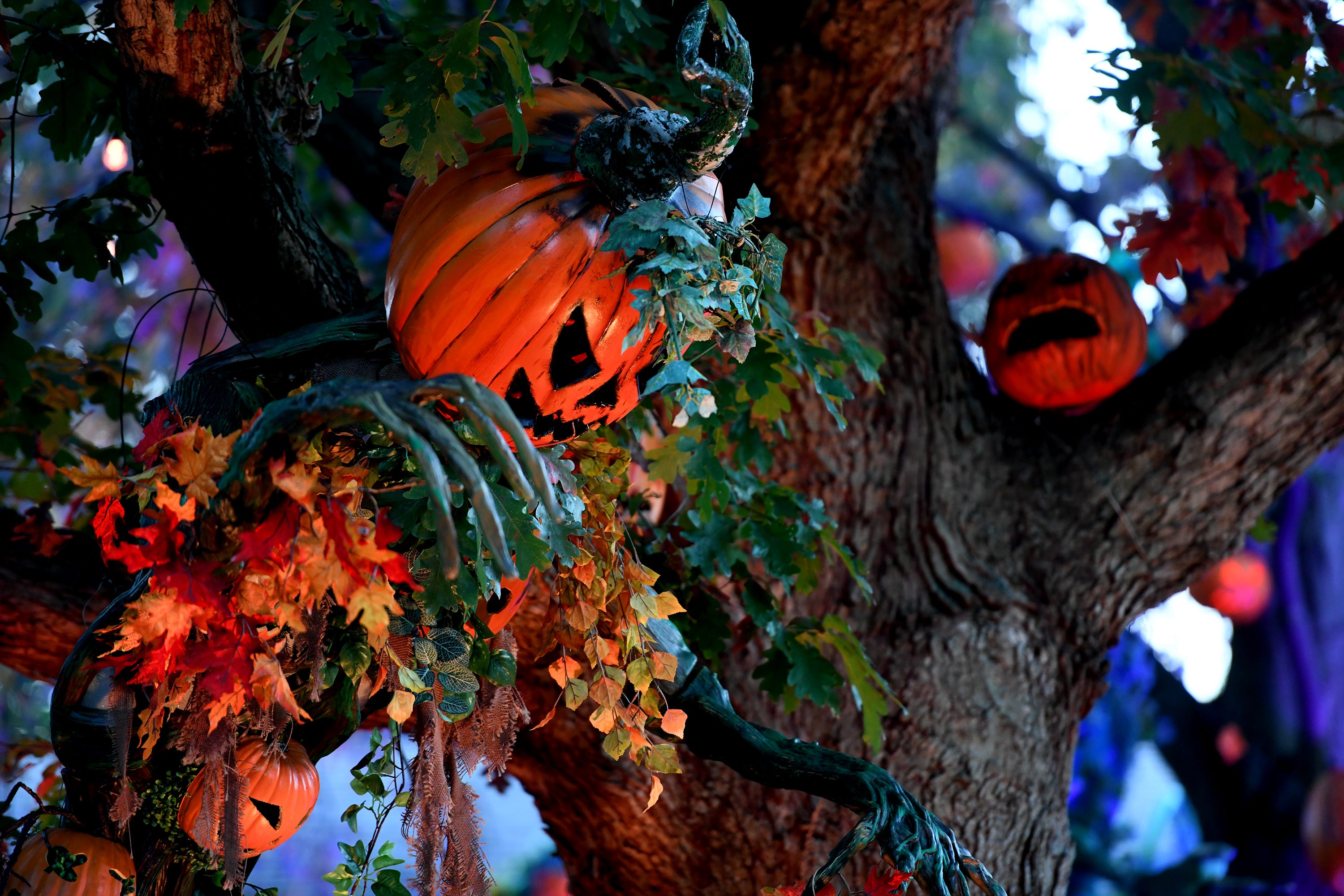 Happy spooky season! Americans expected to open wallets for Halloween
