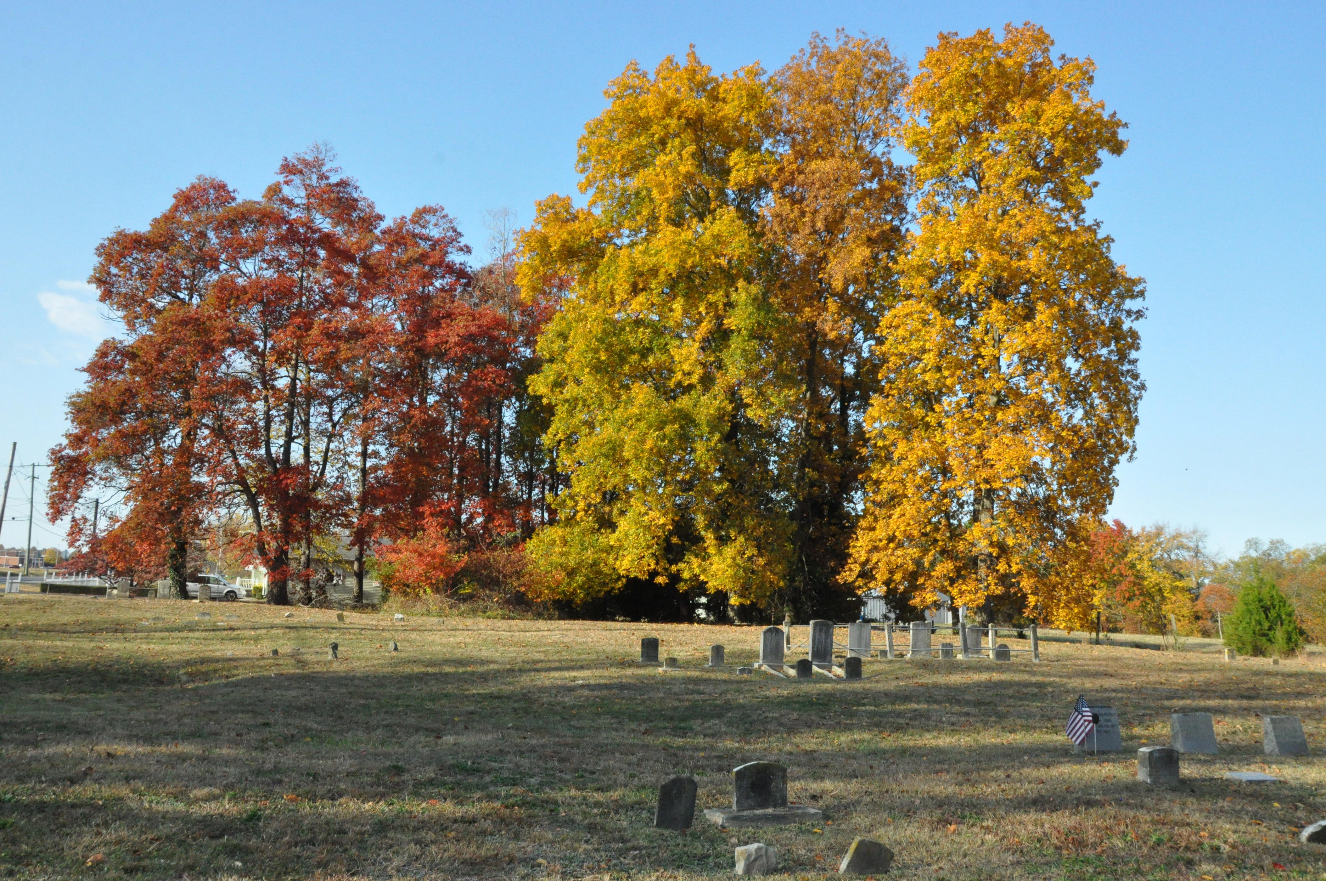 Fall allergy season is coming. How to prepare and avoid problems