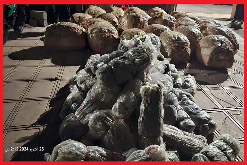 Morocco Foils Attempt to Traffic of Over 8t of Cannabis Resin