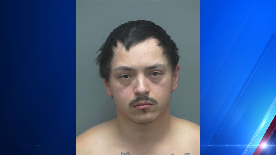 Janesville man gets 30 years for attempted murder of fiancée and high ...