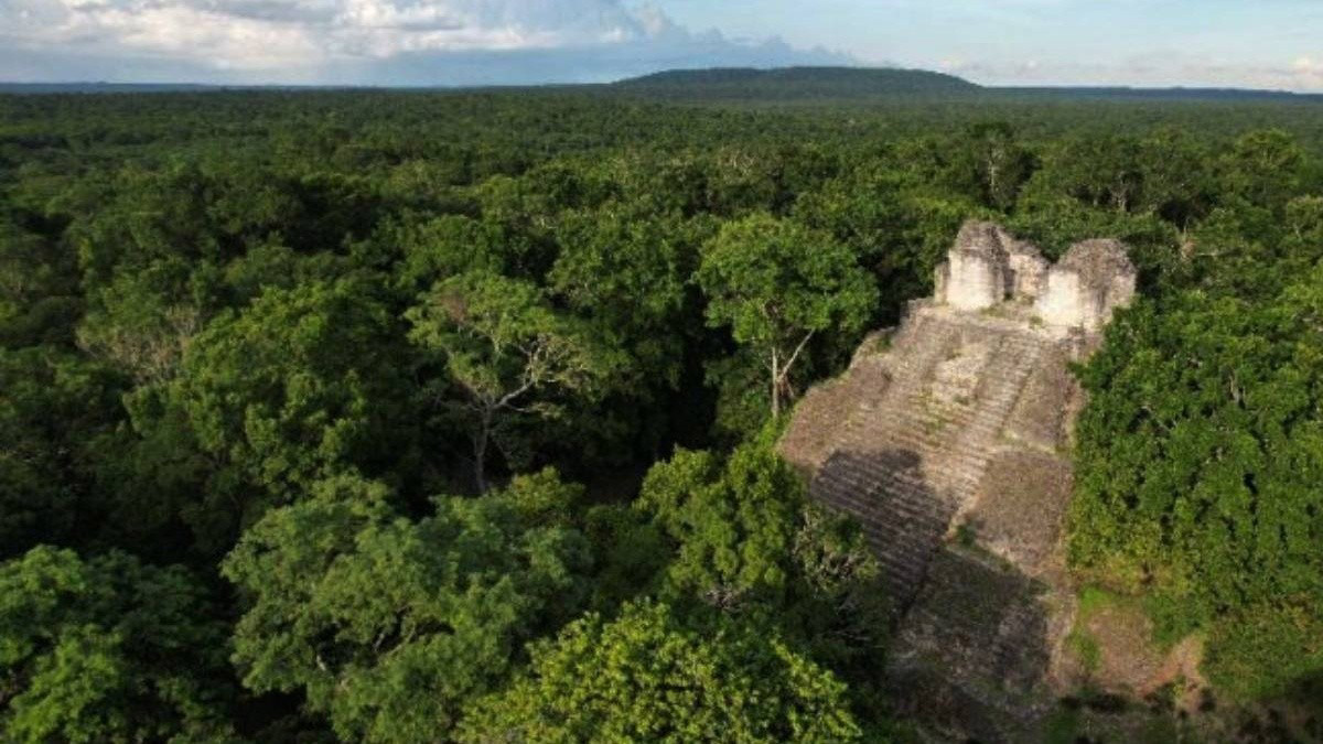 Descubren nuevas estructuras pertenecientes a la dinastía Kaanul en ... Descubren nuevas estructuras pertenecientes a la dinastía Kaanul en ...