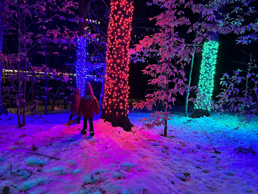 Check Out A Forest of Lights at VINS in Quechee
