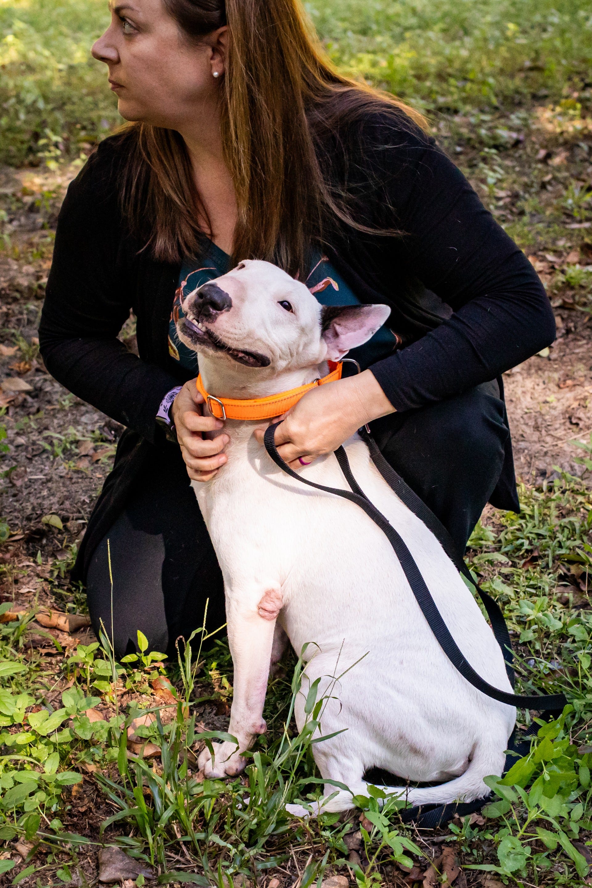 Trooper's Law hits the books in Florida, inspired by dog abandoned in ...