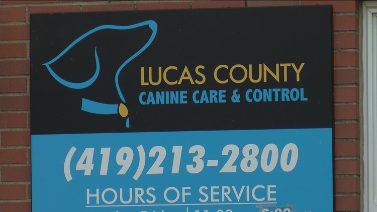 'Dogs on the Town': Lucas County Canine Care & Control resumes weekly ...