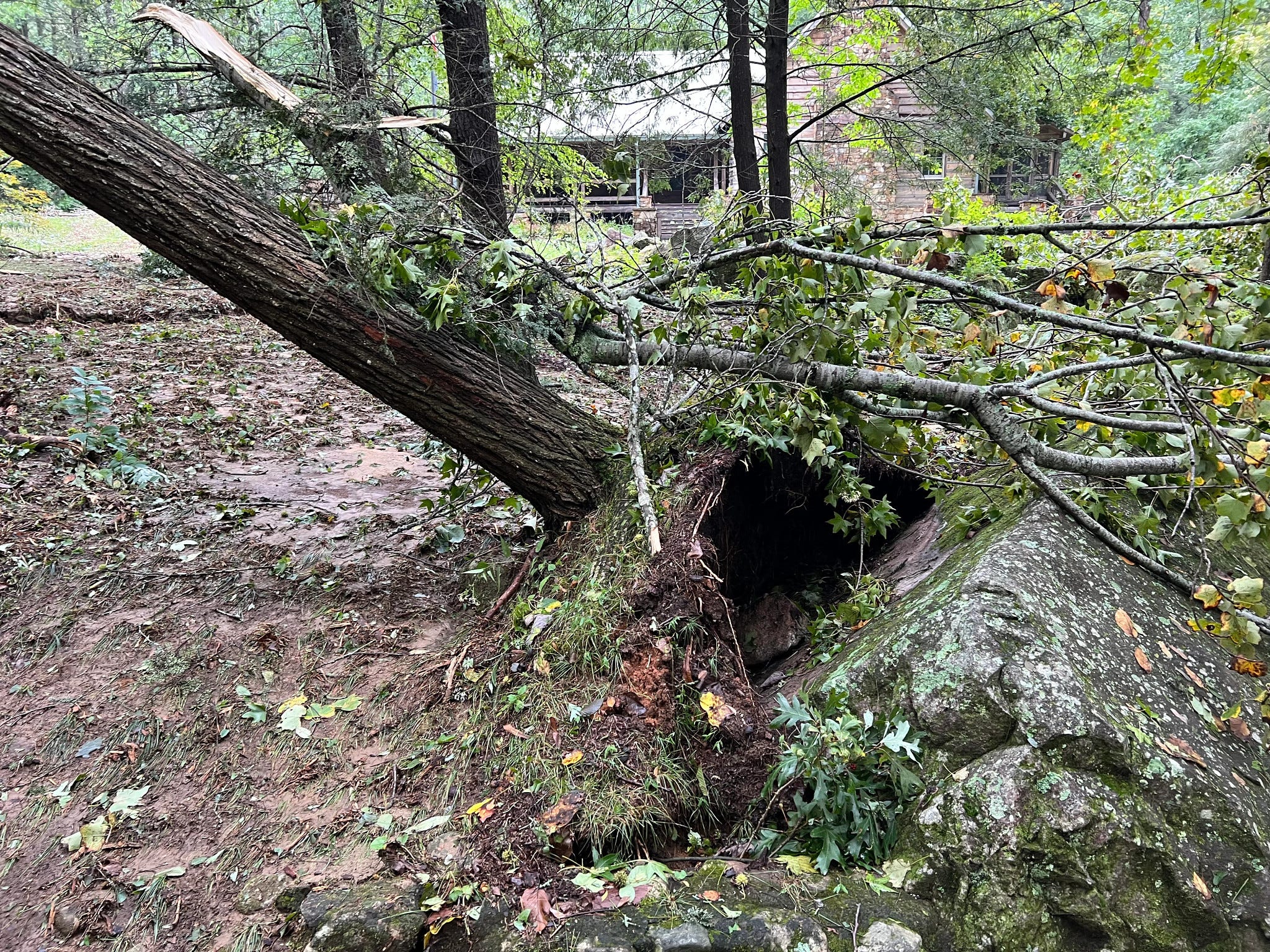 Jones Gap State Park 'strikingly different' due to Helene. What to know ...