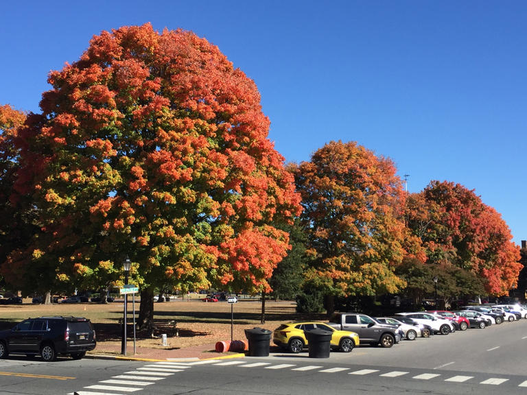 Will it be a cool autumn in Delaware? See Old Farmer's Almanac fall ...