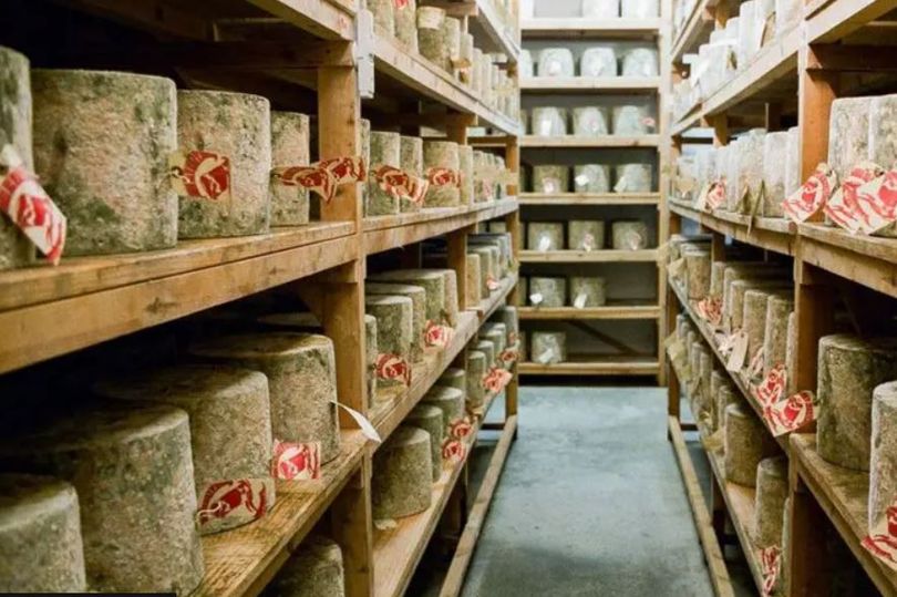 Neal's Yard Dairy's profits fell in year before £300,000 cheese heist