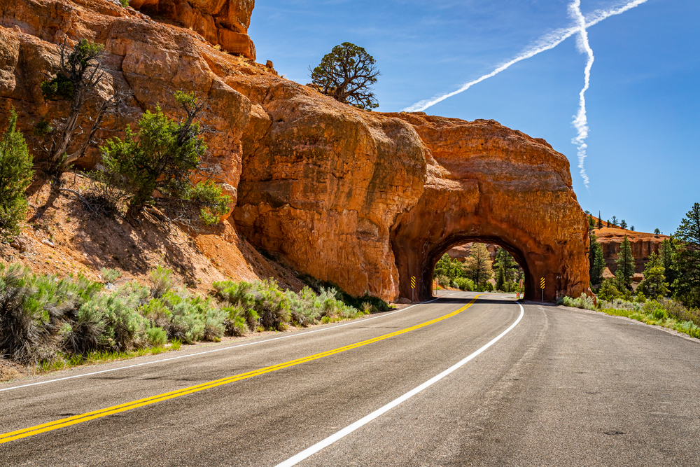 Canyon Drives That Make Utah Unforgettable