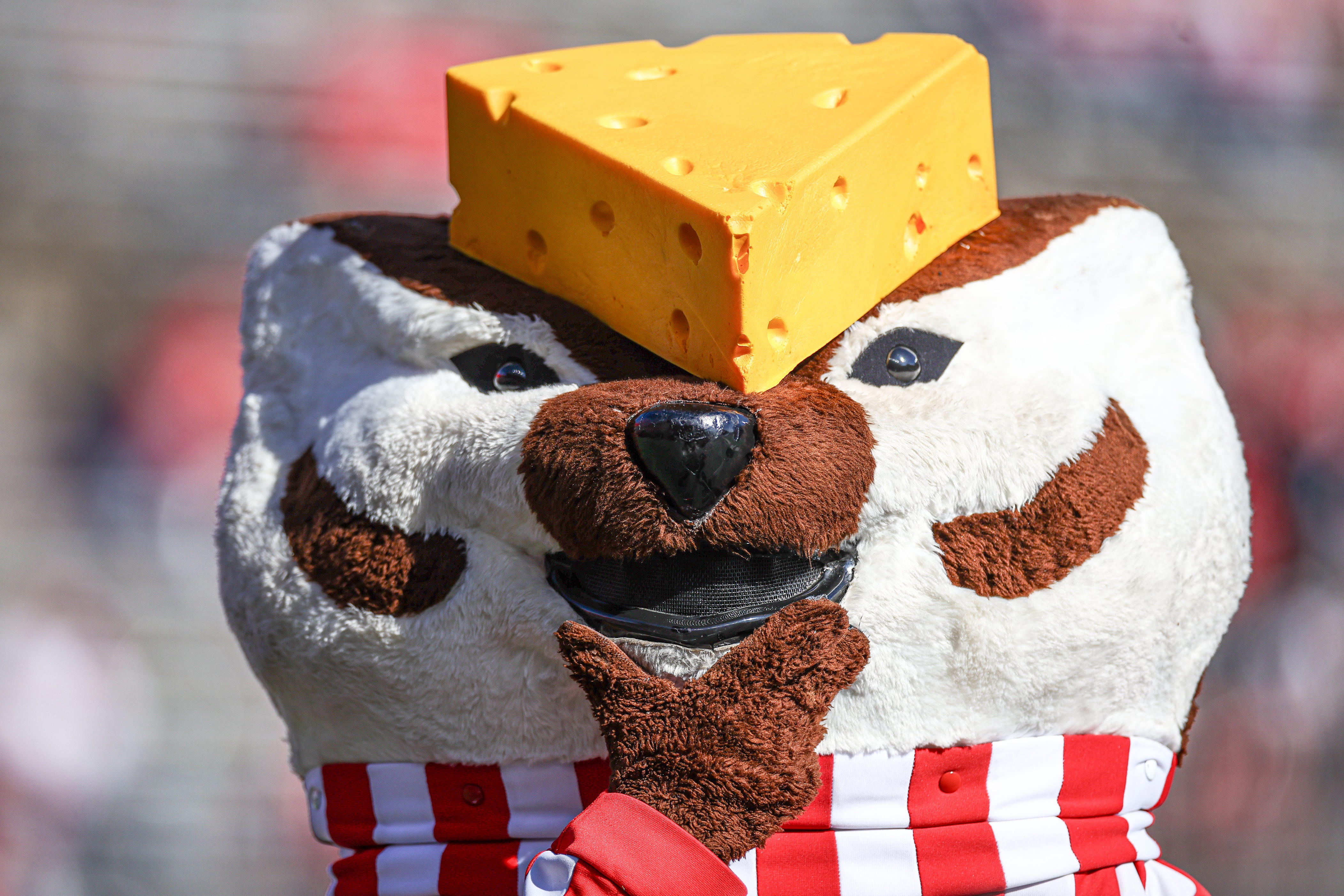 Have a question about the Wisconsin football team? Ask Badgers beat ...