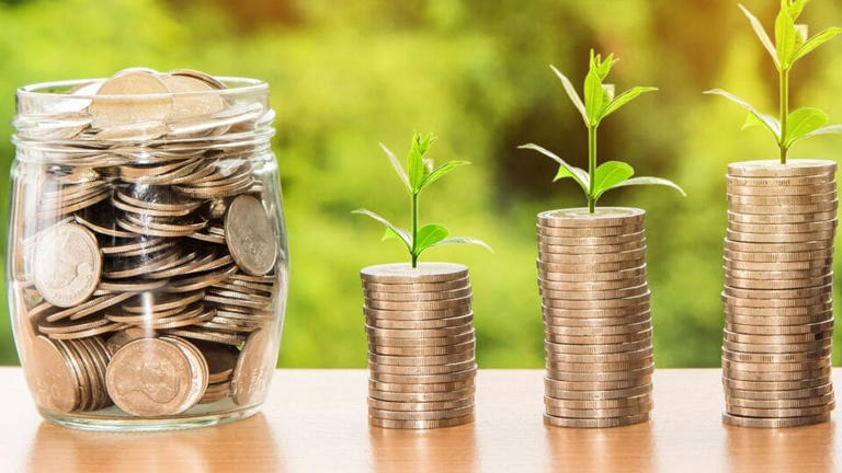 Best mutual funds: These 5 schemes across the equity spectrum gave ...