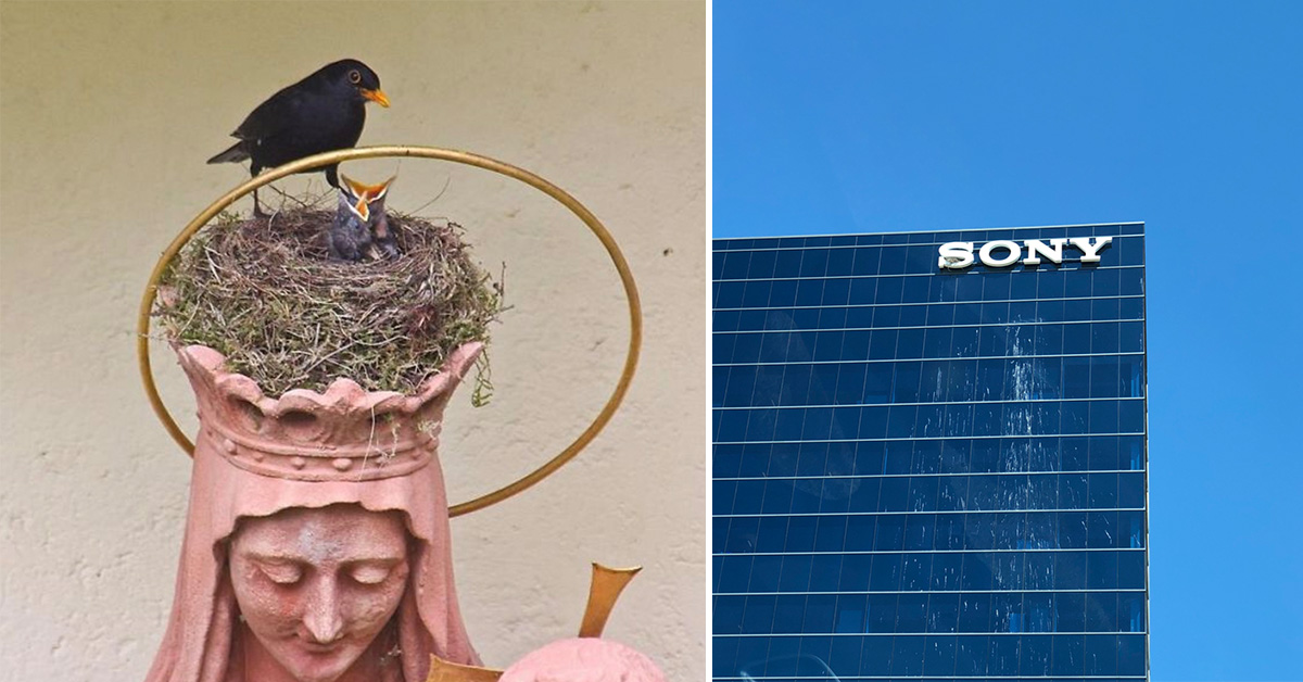 41 Birds That Are Winning the Real Estate Game