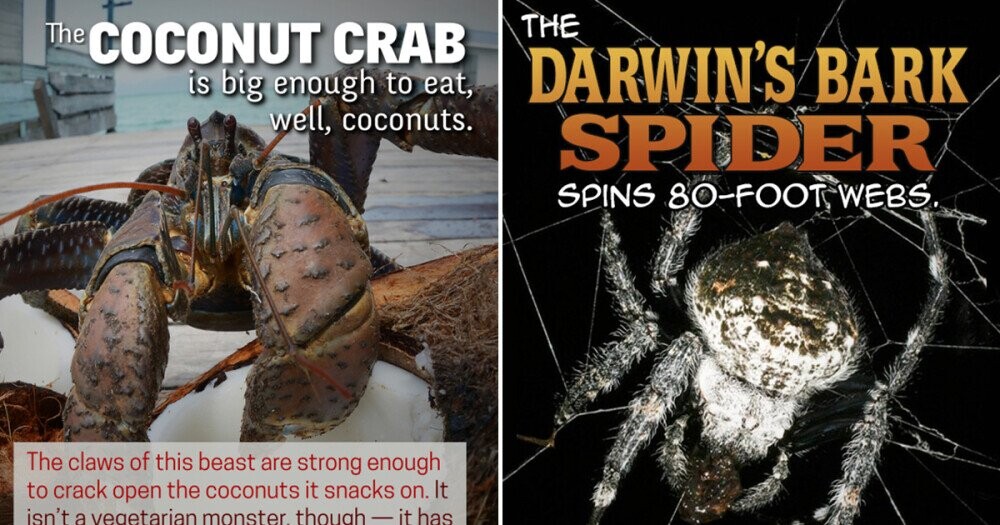 Stranger Than Fiction: 26 Real-Life Creatures Way More Terrifying Than ...