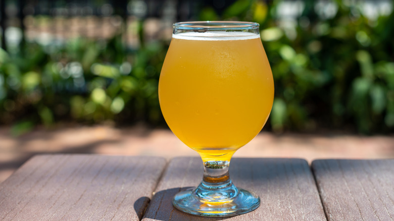 IPA Vs Pale Ale: What's The Difference Between These Beers?
