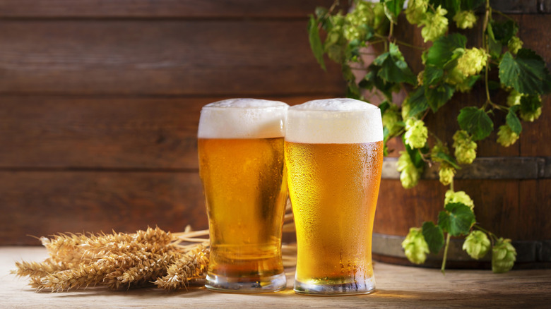 IPA Vs Pale Ale: What's The Difference Between These Beers?