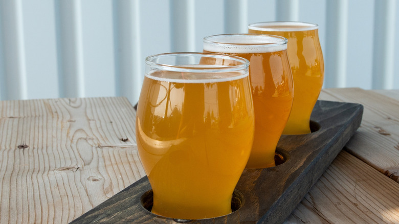 IPA Vs Pale Ale: What's The Difference Between These Beers?