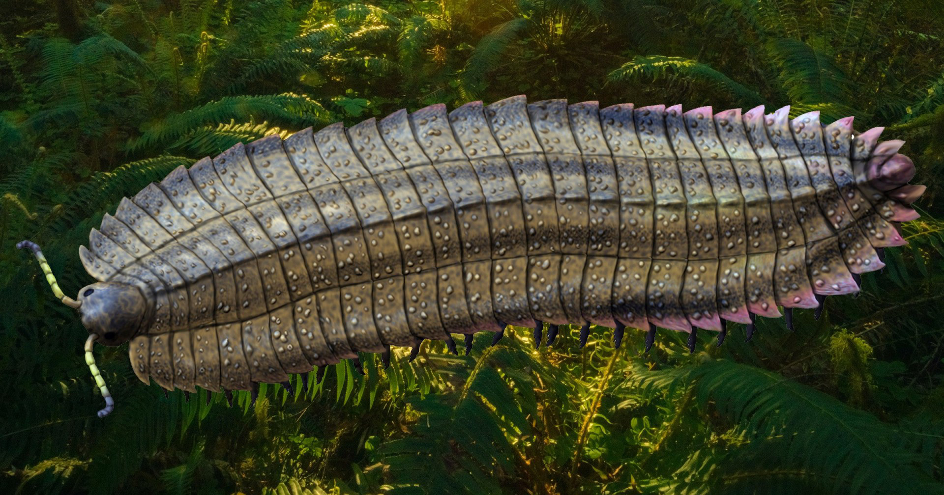 Scientists uncover car-sized insect Scientists uncover car-sized insect