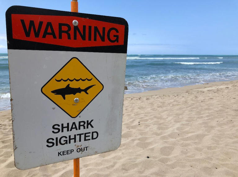 Warning signs posted after shark sighting at Pokai Bay