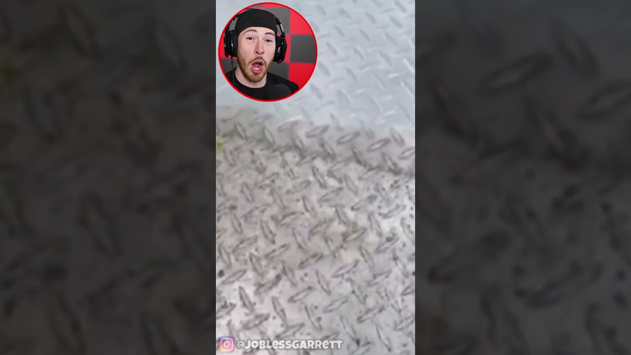 This is Next Level Genius—Amazing Ideas Shown