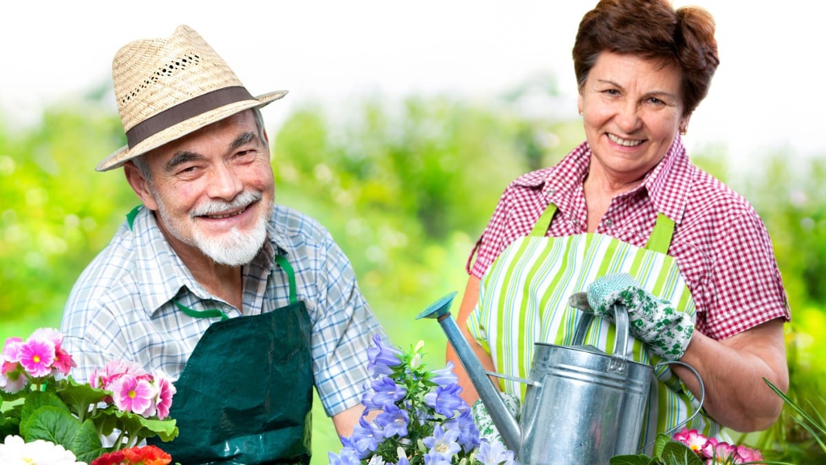 15 Low-Stress Gigs for Retirees That Feel More Like Hobbies
