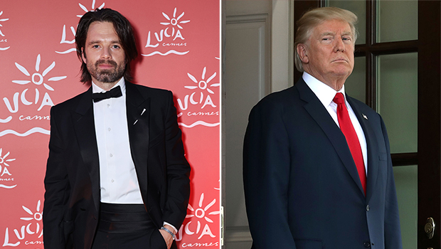 ‘The Apprentice’: All About the Donald Trump Movie Starring Sebastian Stan