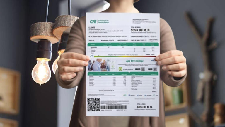 Recibo de luz a nombre de otra persona: por qué la CFE recomienda ...