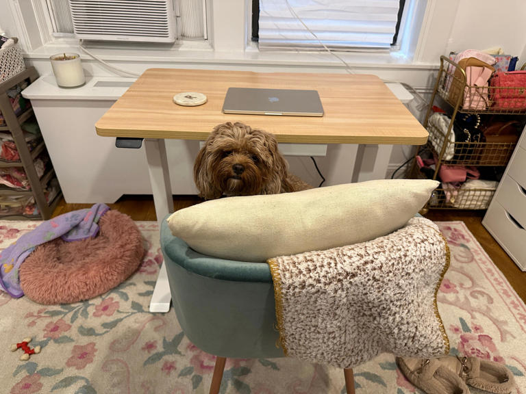 This space-saving standing desk is the perfect work-from-home setup for ...