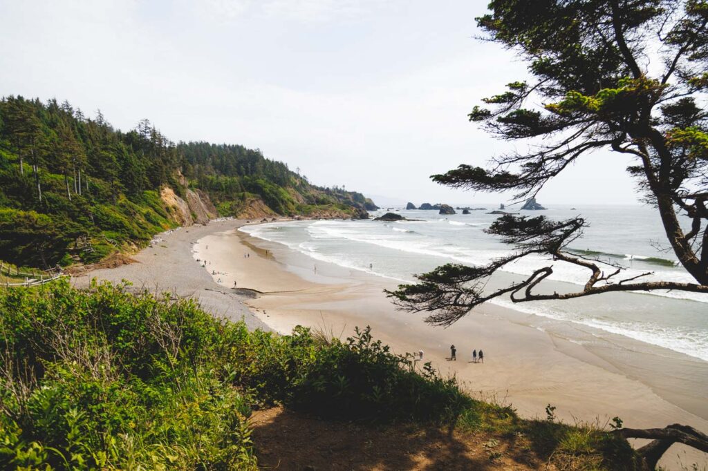 Your Guide to Ecola State Park on the Oregon Coast
