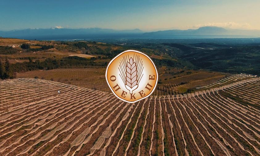 ΟΠΕΚΕΠΕ: Την ενοχή 13 κατηγορουμένων για απάτη με επιδοτήσεις προτείνει ...