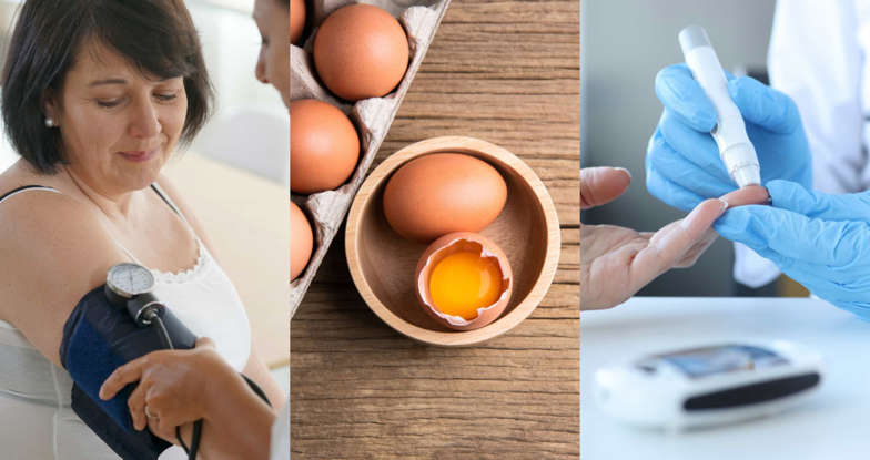 Tout ce que vous devez savoir sur les œufs et leur impact sur notre santé Tout ce que vous devez savoir sur les œufs et leur impact sur notre santé