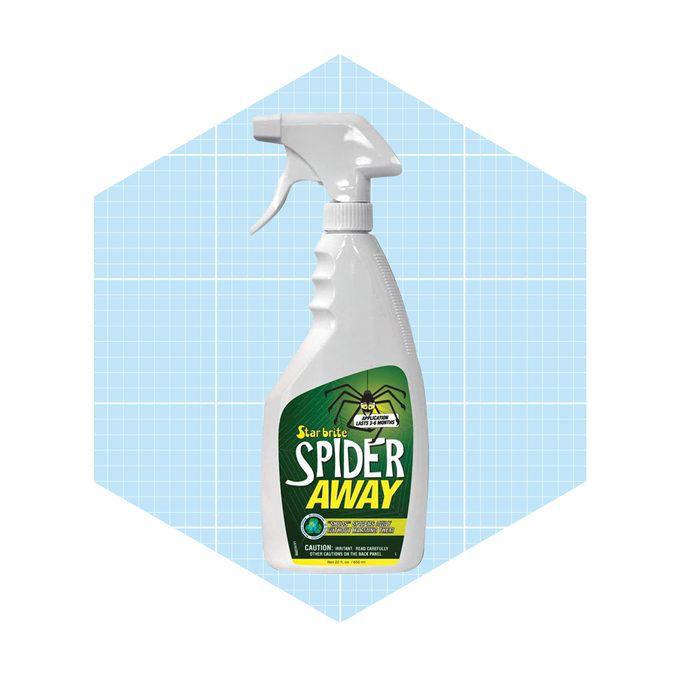 7 Best Spider Repellents & Sprays for Your House (That Actually Work)