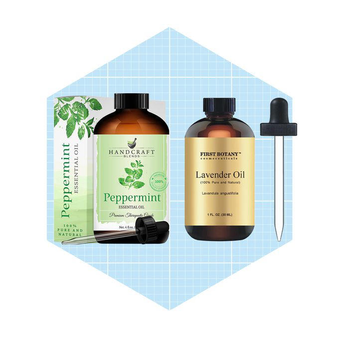 7 Best Spider Repellents & Sprays for Your House (That Actually Work)