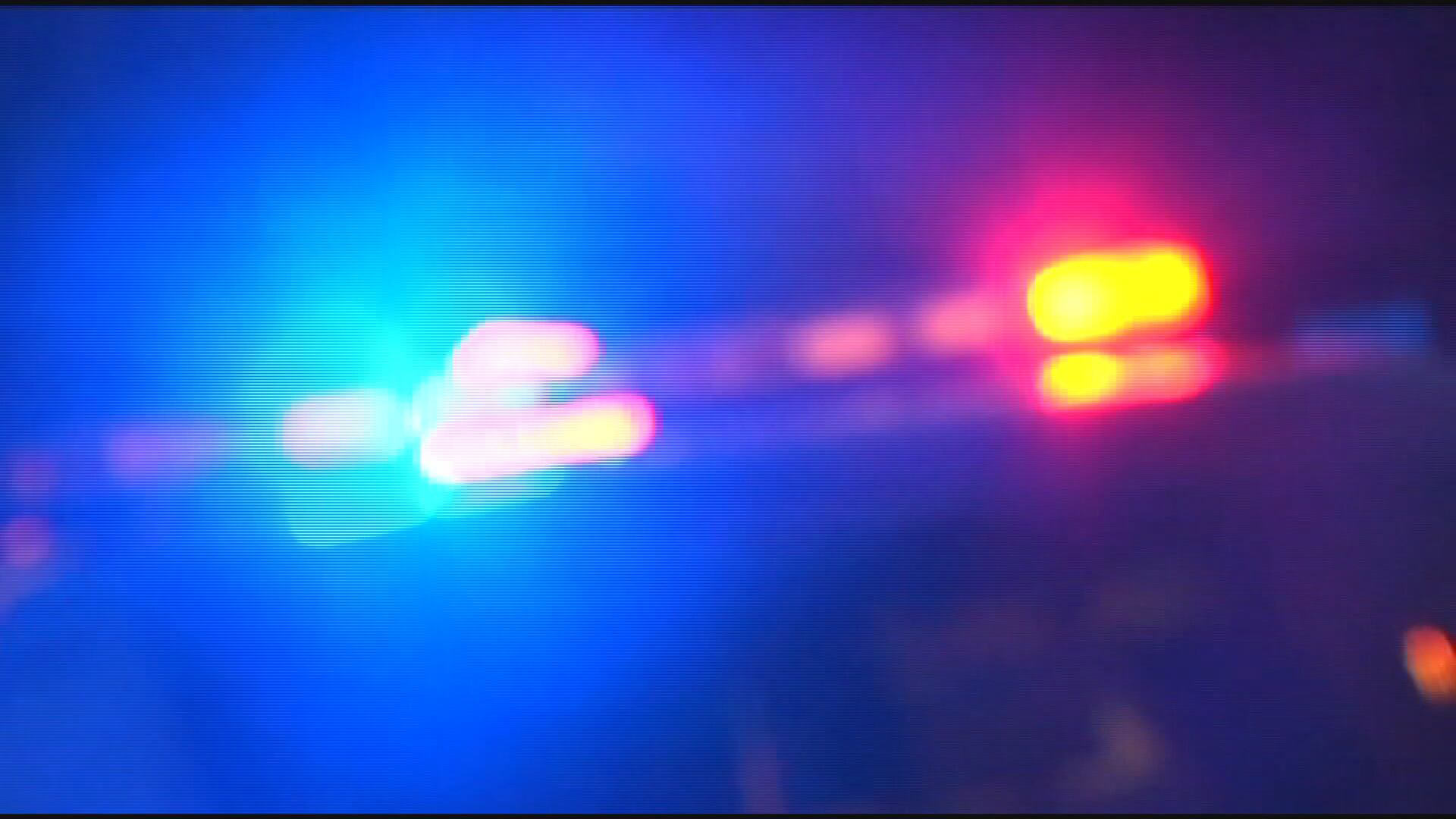 Poplar Bluff police investigating after person attacked by several dogs Poplar Bluff police investigating after person attacked by several dogs