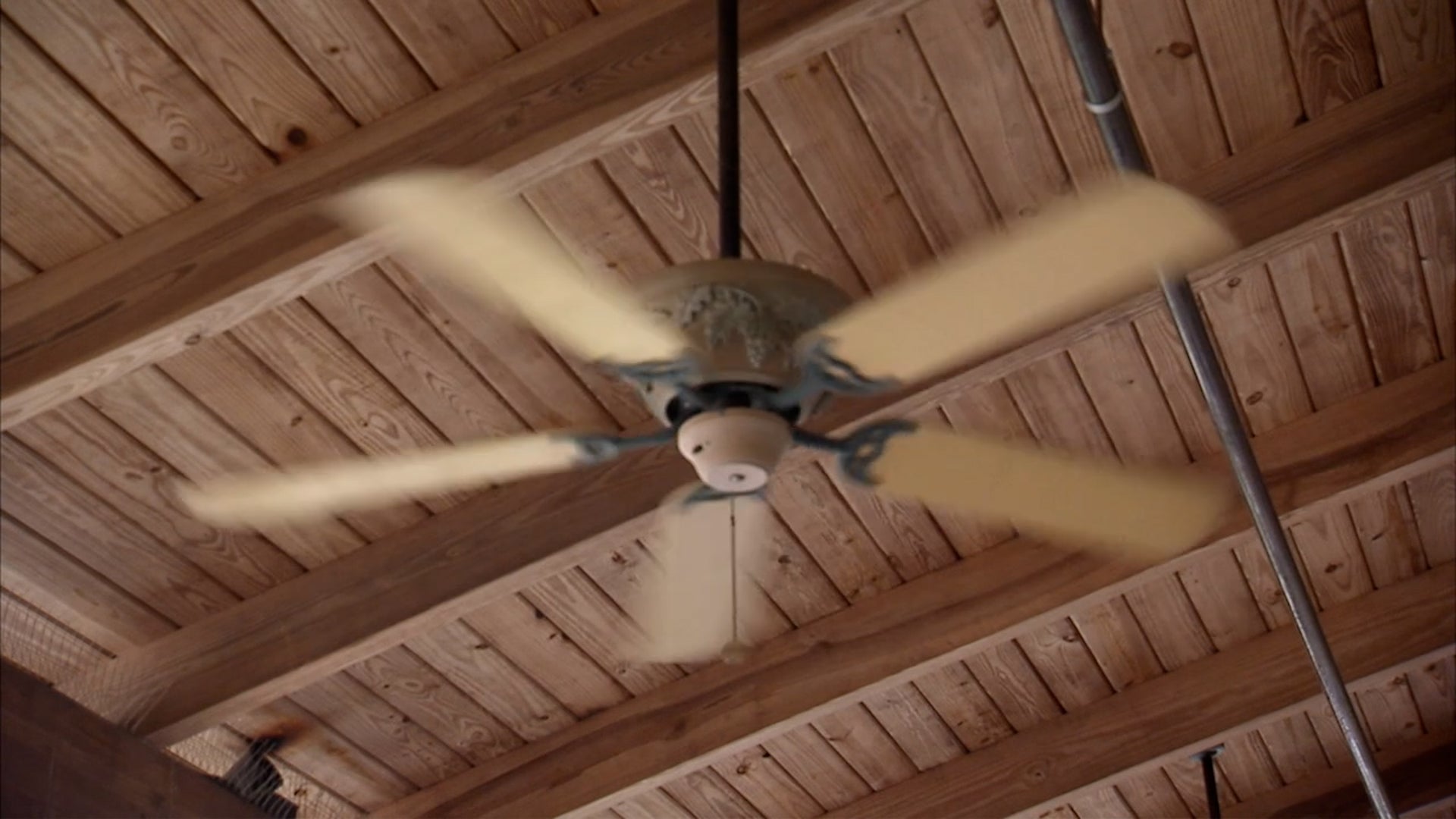 Did you remember to flip your ceiling fan this time change?