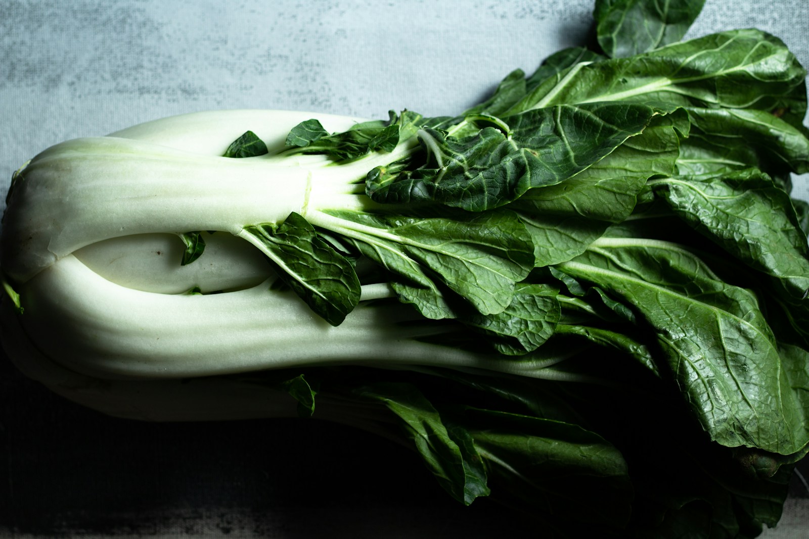 Can Dogs Eat Bok Choy? A Comprehensive Guide to Feeding Your Canine Friend