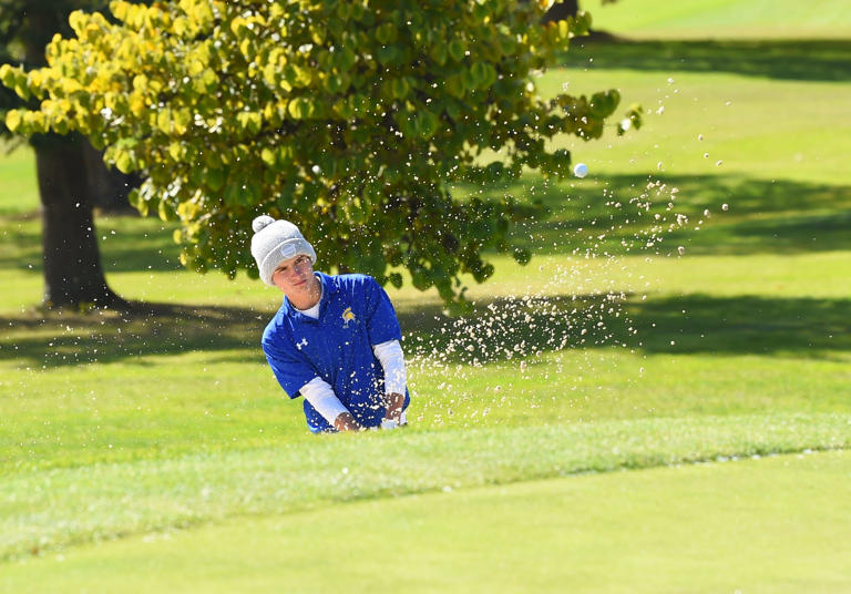 Section 4 golf 2025-26: Results and top performers