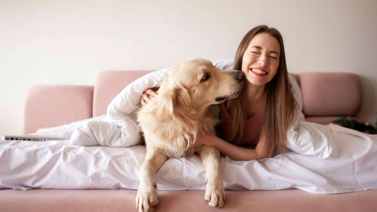 16 Things You Should Know Before Getting a Male Dog 16 Things You Should Know Before Getting a Male Dog